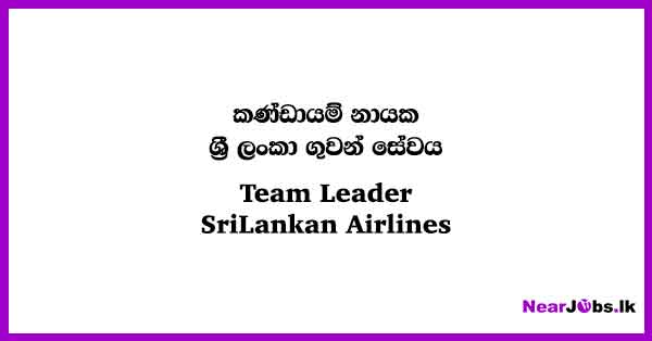 Team Leader - Sri Lankan Airline Job Vacancies 2024