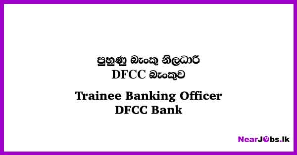 Trainee Banking Officer Dfcc Bank Job Vacancies Colombo 2023