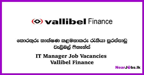 Vallibel Finance IT Manager Job Vacancies 2024