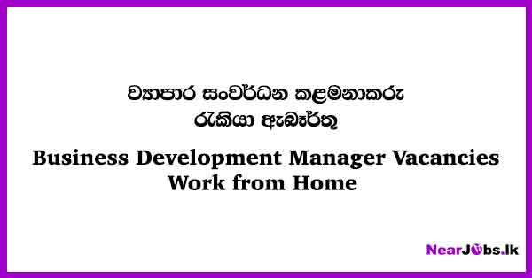 Work from Home Business Development Manager Job Vacancies 2024 - Kiwi ...